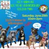 Join It’s A Pittie Rescue at Ace Hardware’s 100 year anniversary ...